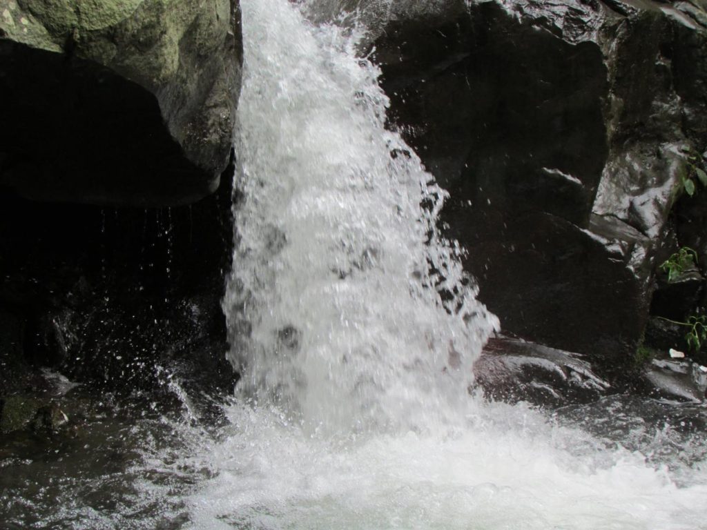 Waterfall Jangeshu - Waterfall Kasauli - Waterfall - Paradise Valley