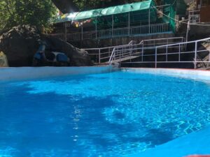 Waterfall Jangeshu - Waterfall Kasauli - Waterfall - Paradise Valley